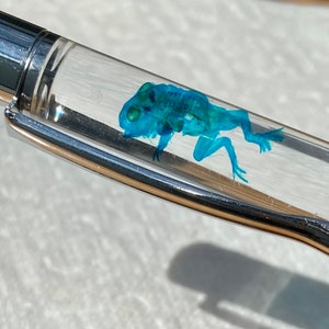 Frog Pen Unique Diaphonized FROGLET, Toad, Novelty Pen. Wet Specimen ...