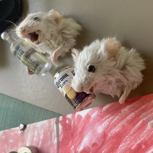 Happy Drunk Mouse Head Mounts- It's 5 O'clock Somewhere - Darkly ...
