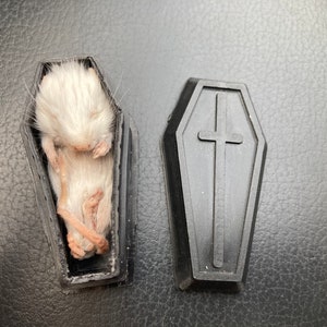 XXS Little Baby Coffin Mouse Adorabe Cute Mouse in a Tiny Open Casket ...