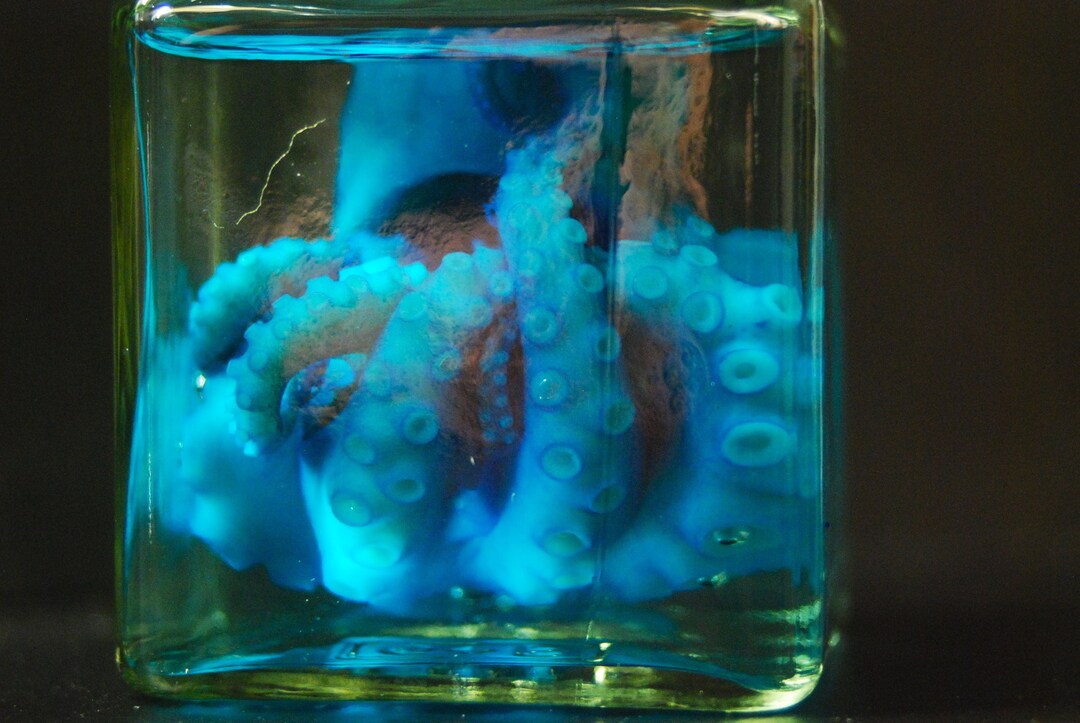 SALE: Medium BLUE Octopus in Square Jar, Wabi Sabi Wet Specimen ...