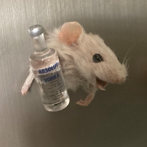 Happy Drunk Mouse Head Mounts- It's 5 O'clock Somewhere - Darkly ...