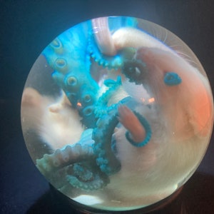GLOBE: Consumed by the KRAKEN, Wet Specimen ART. Blue Octopus Tentacles ...