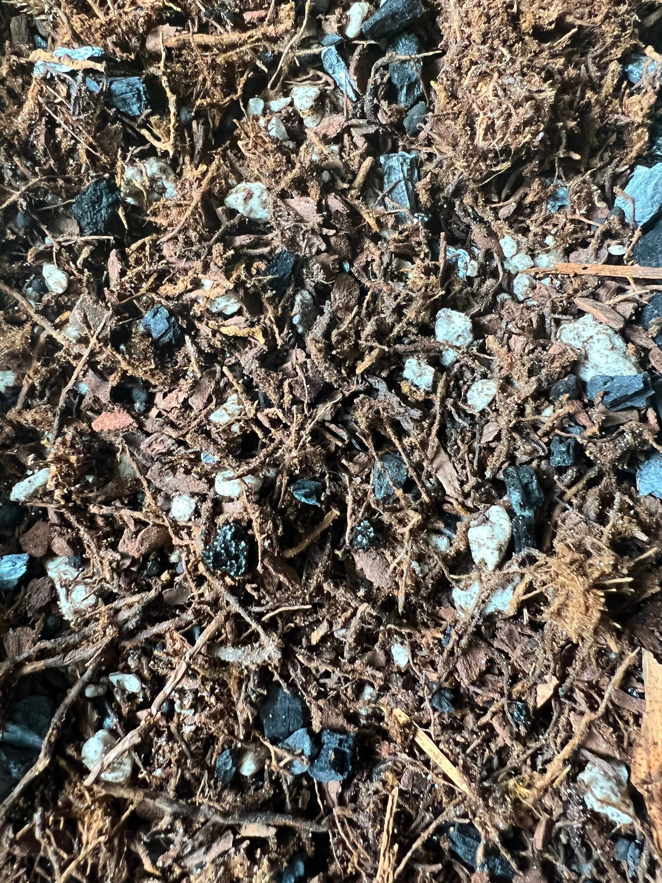 Aroid Seedling Potting Mix Soilless Rooting Medium - Etsy