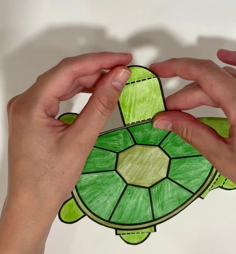 Turtle Craft Summer Activity, Kids DIY Summer Crafts, Coloring and ...