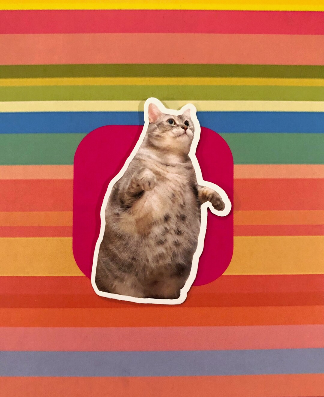 Chonky Cat Sticker, Vinyl Sticker, Fat Cat Sticker, Laptop Decal ...