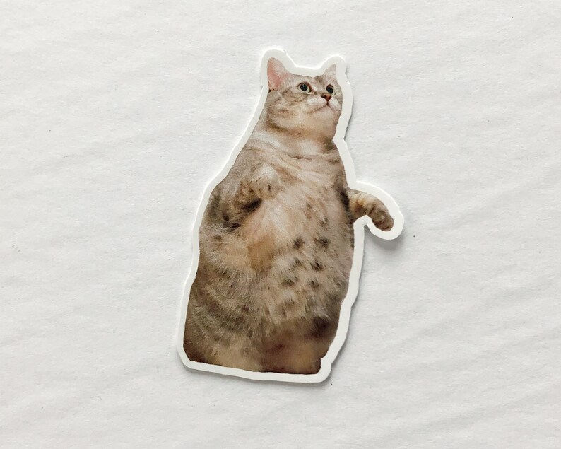 Chonky Cat Sticker Vinyl Sticker Fat Cat Sticker Laptop - Etsy