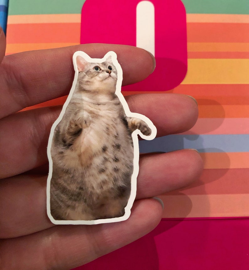 Chonky Cat Sticker Vinyl Sticker Fat Cat Sticker Laptop - Etsy