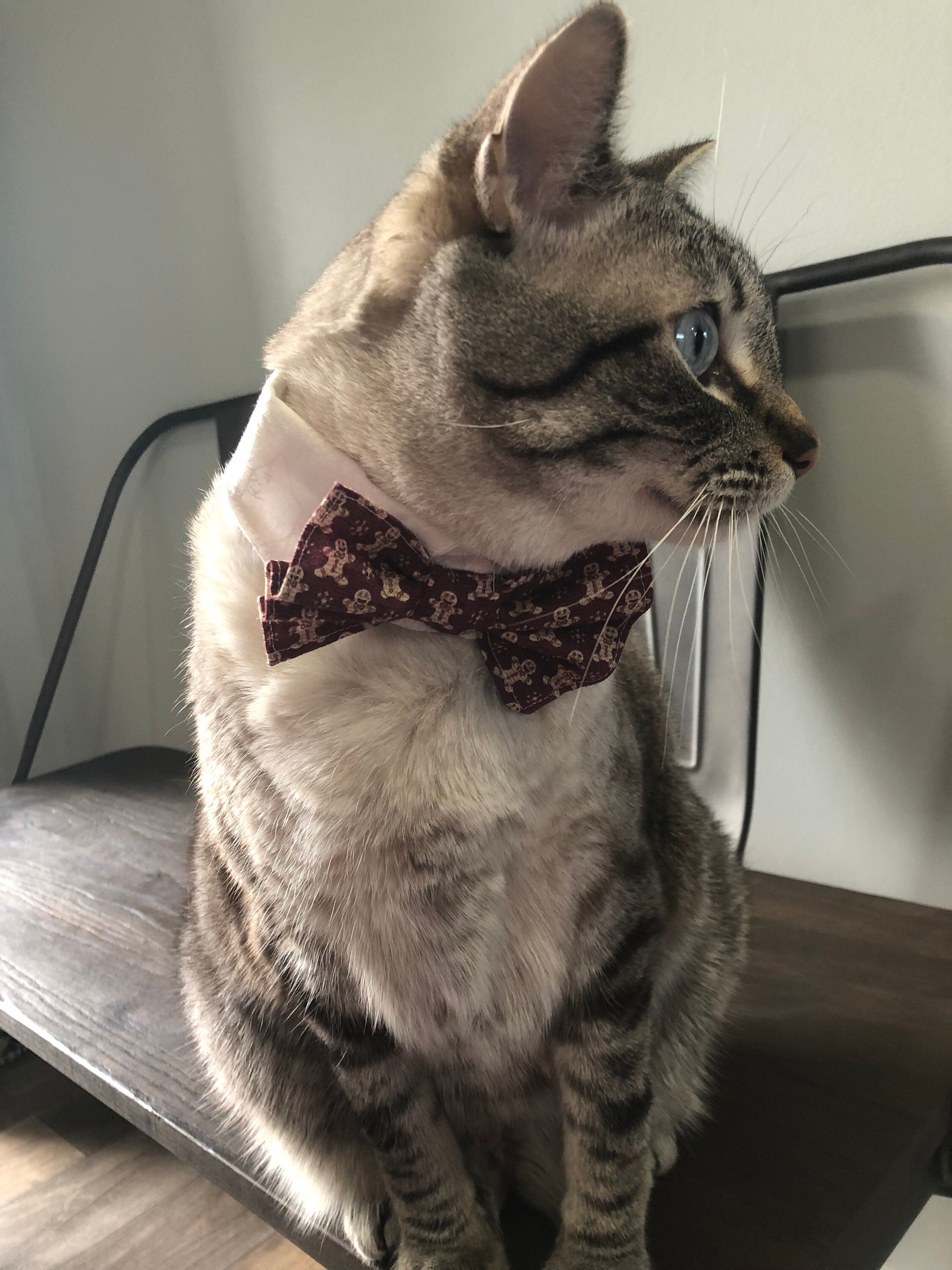 Cat Bow Tie: Christmas Gingerbread - Red - Etsy