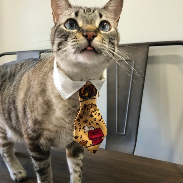 Cat Ties - Etsy