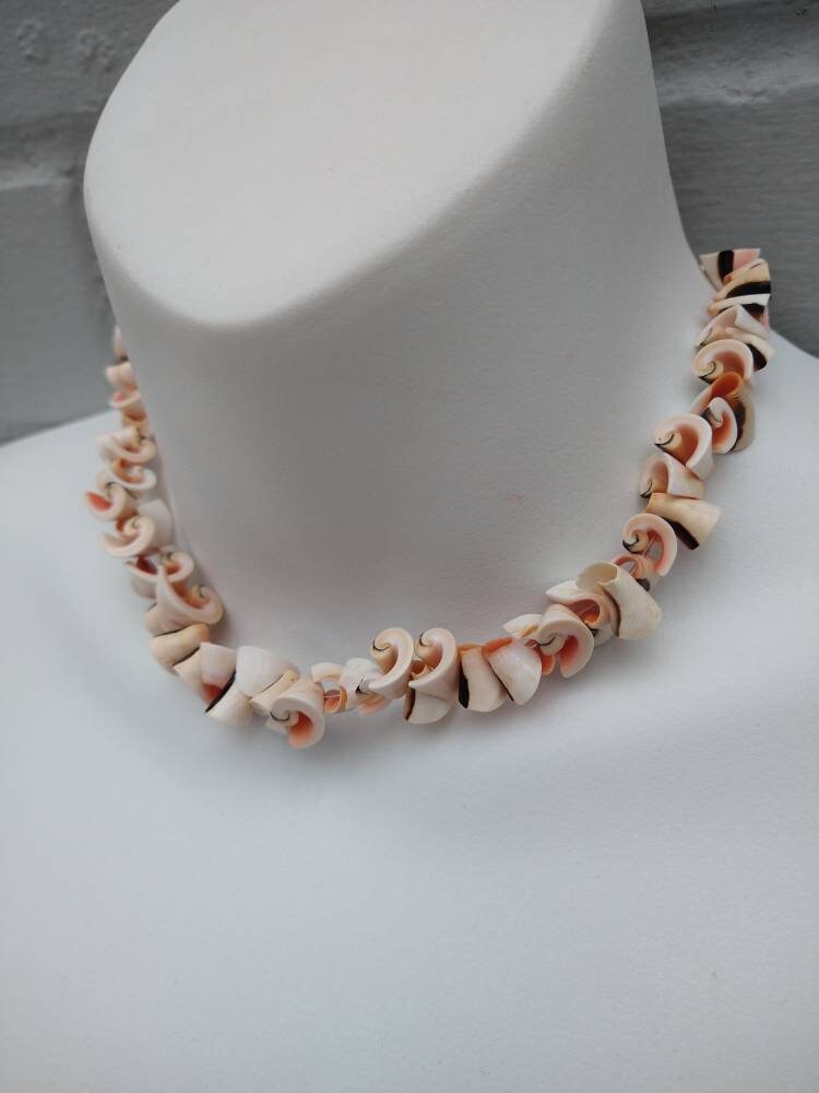 Hawaiian Conch Shell for sale | Only 2 left at -60%