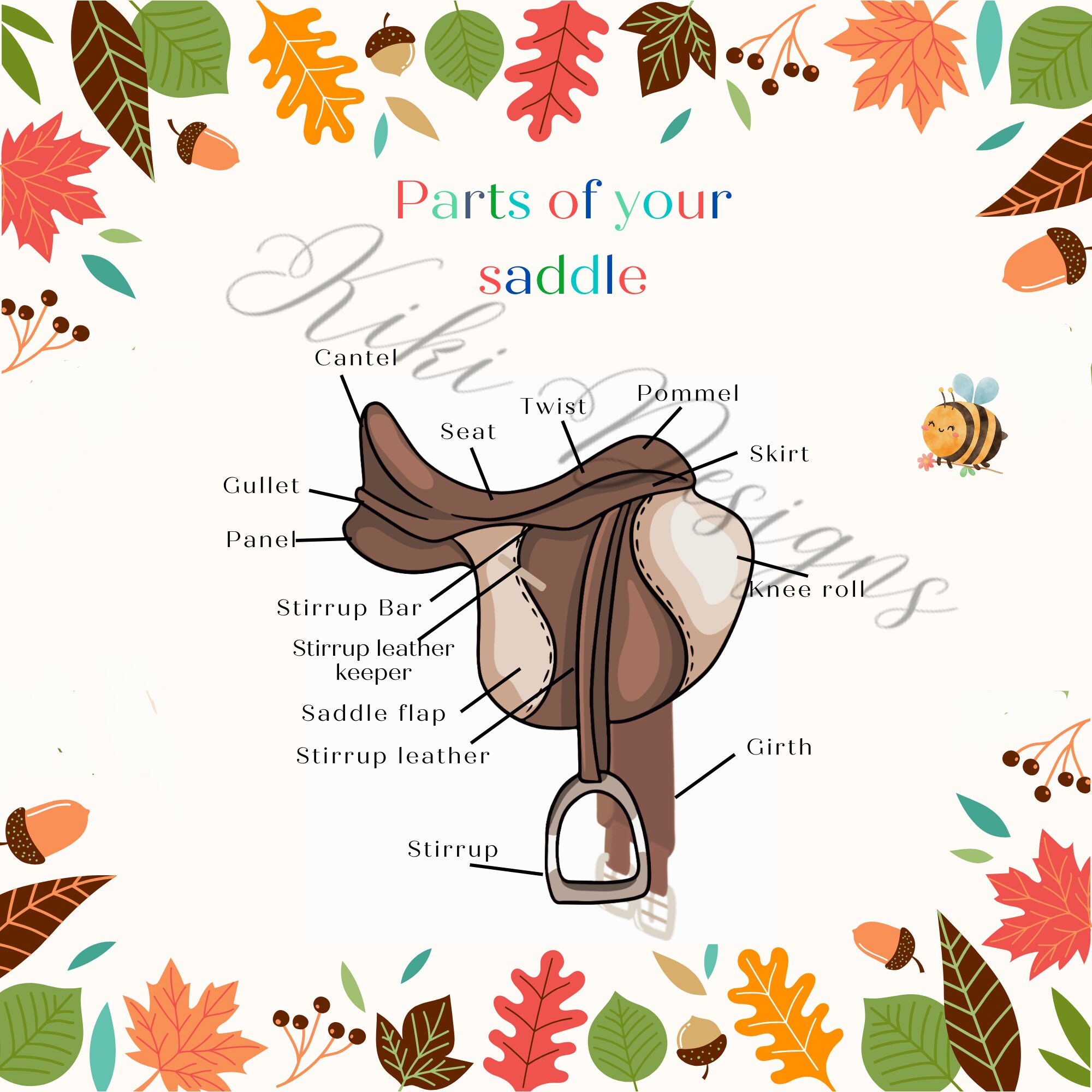 Horse / Pony Body Parts Worksheet , Bridle Parts Worksheet , Saddle ...