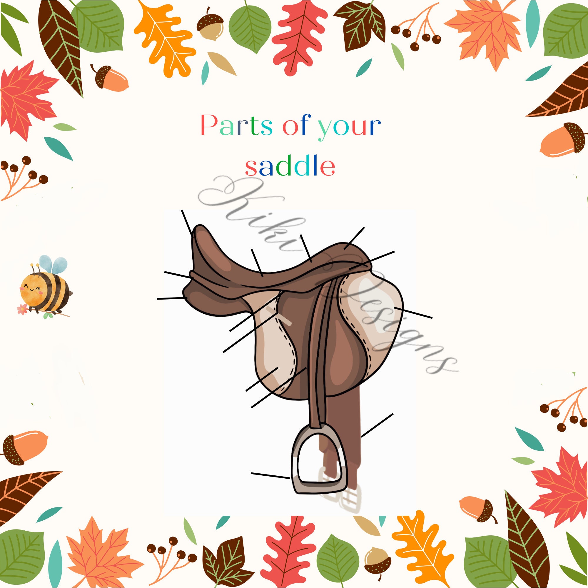 Horse / Pony Body Parts Worksheet , Bridle Parts Worksheet , Saddle ...