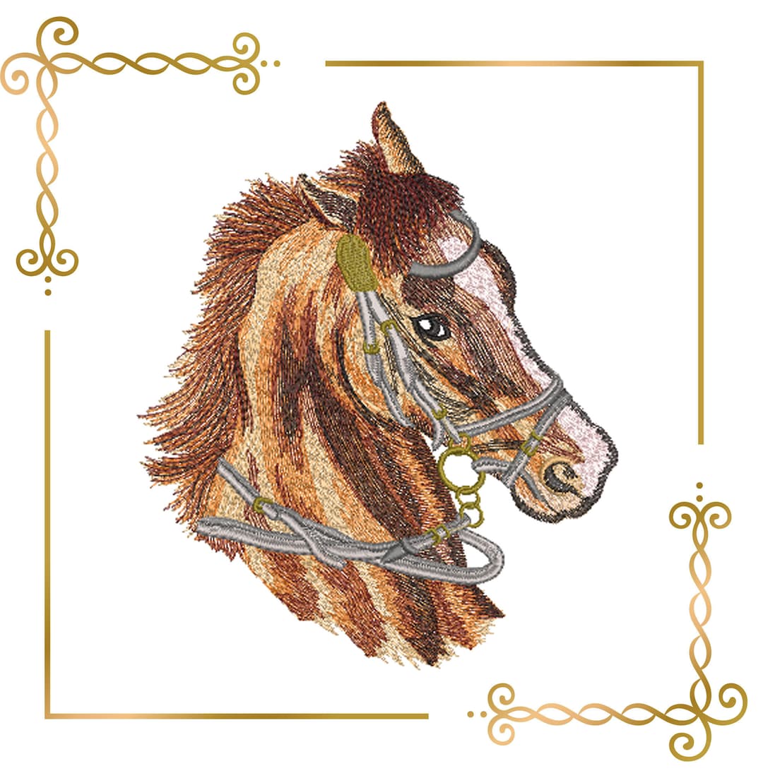 Head of a Horse Embroidery Design to the Direct Download. - Etsy