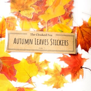 Autumn Leaves Sticker Pack | Maple Fall Leaves, Clear Botanical ...