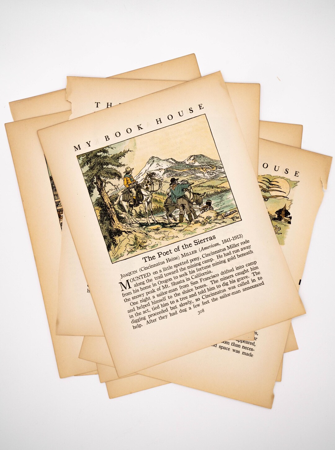 Vintage Color Illustration Book Pages | Old Book Pages, Junk Journal ...