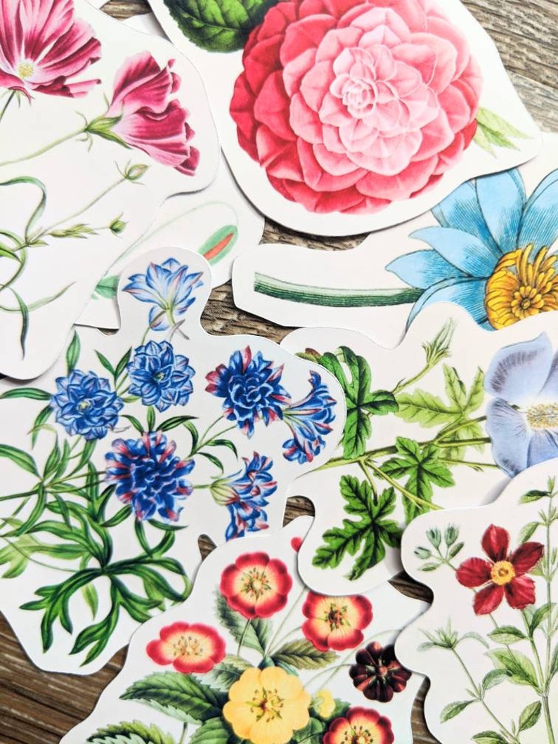 Vintage Floral Stickers Pack Botanical Stickers Ephemera - Etsy