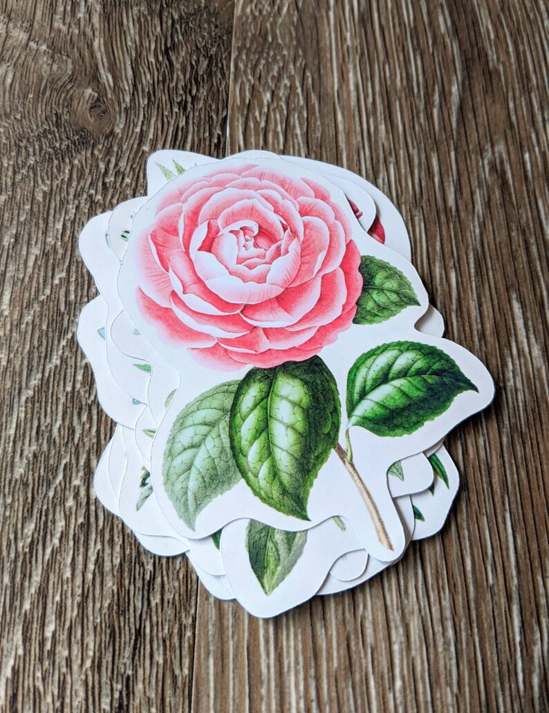 Vintage Floral Stickers Pack Botanical Stickers Ephemera | Etsy