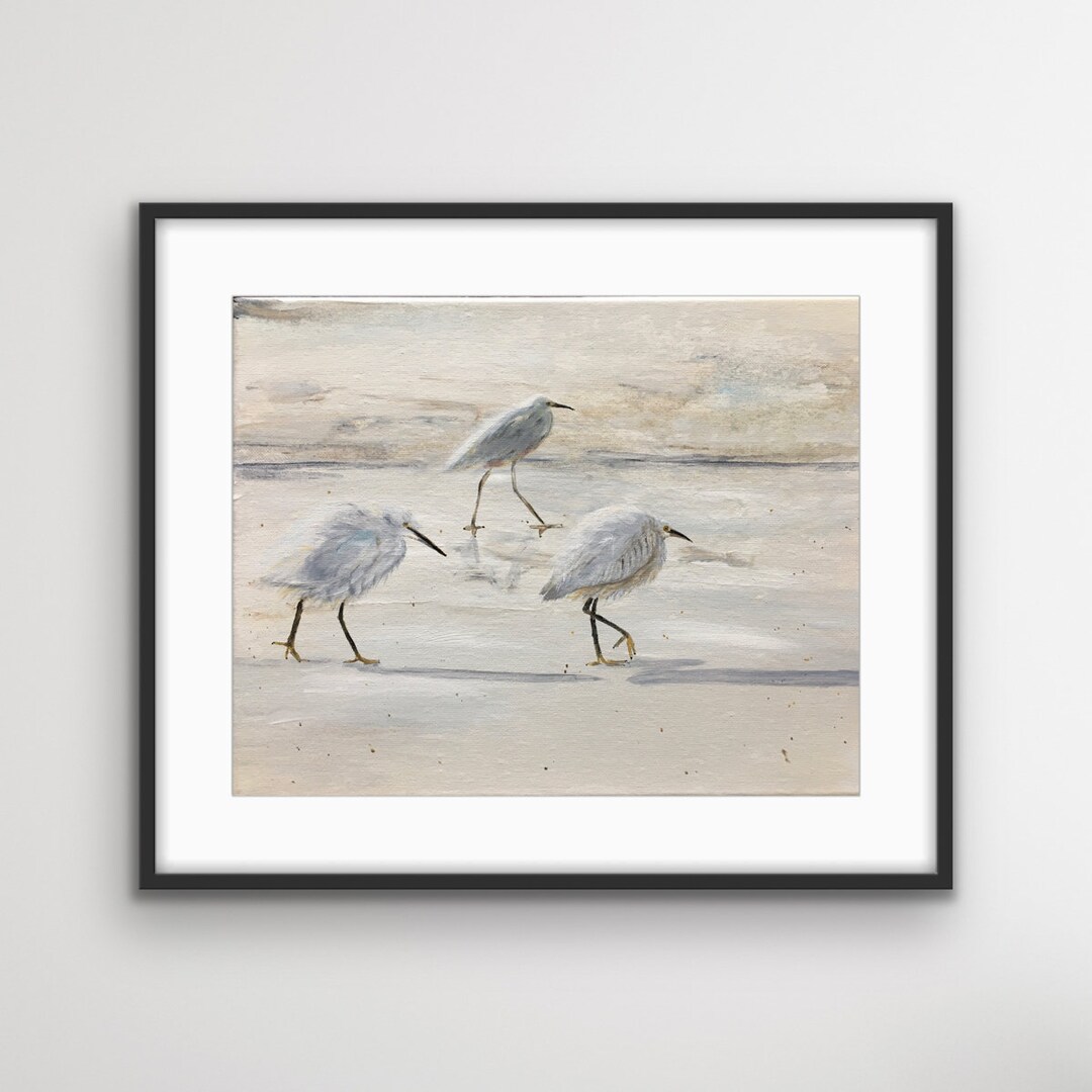 Bird Print Fine Art Print Animal Print Seabirds Beach - Etsy