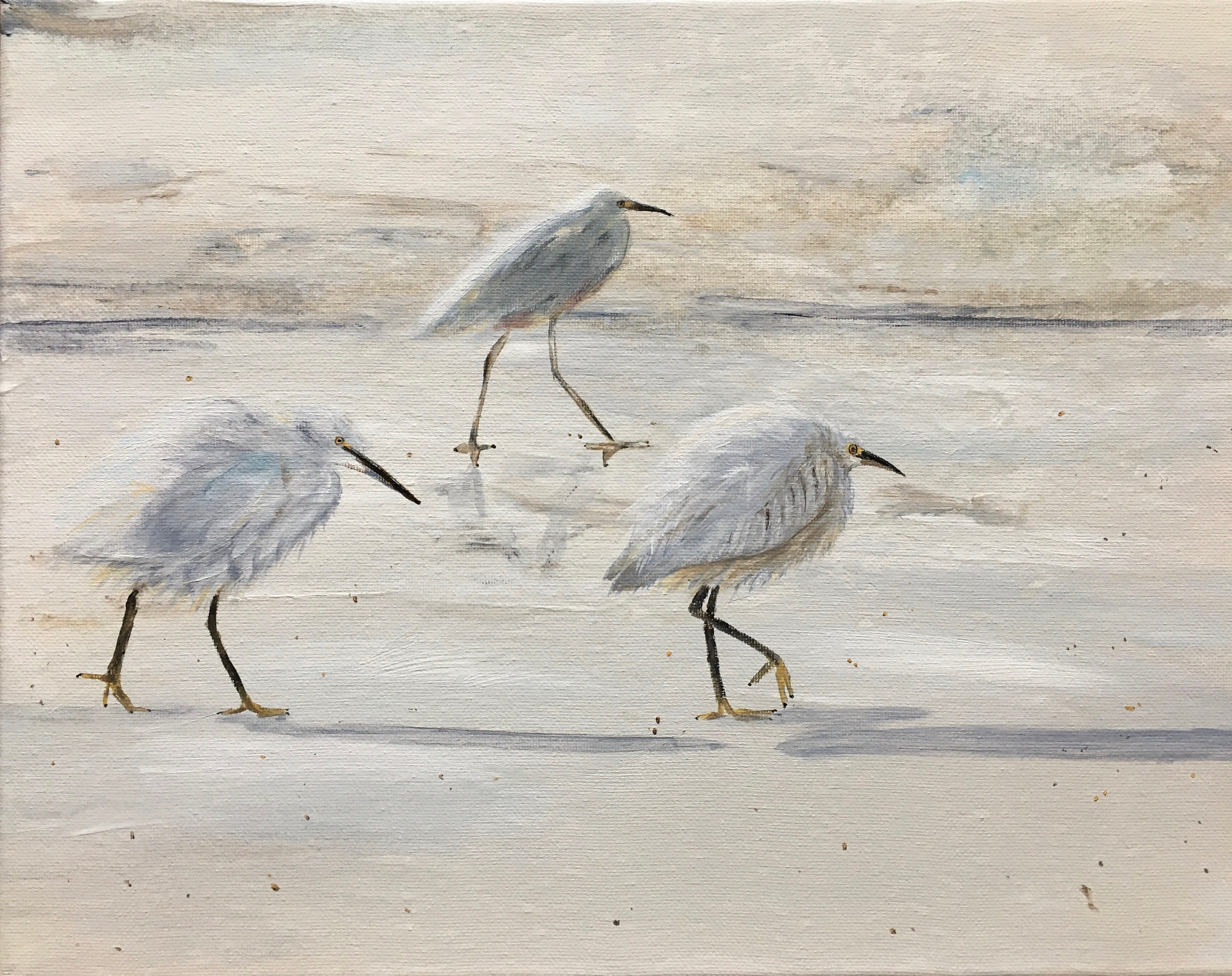 Bird Print Fine Art Print Animal Print Seabirds Beach - Etsy