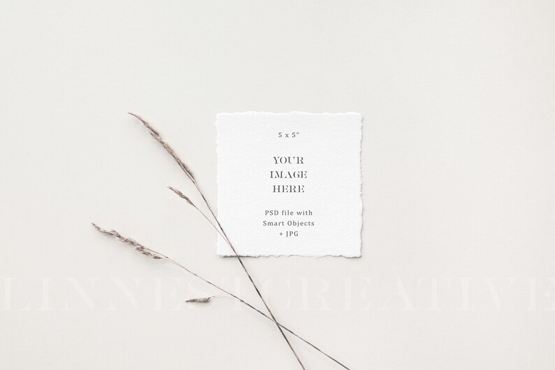 5x5 Square Card Mockup Deckle Edge Card Mockup | Etsy