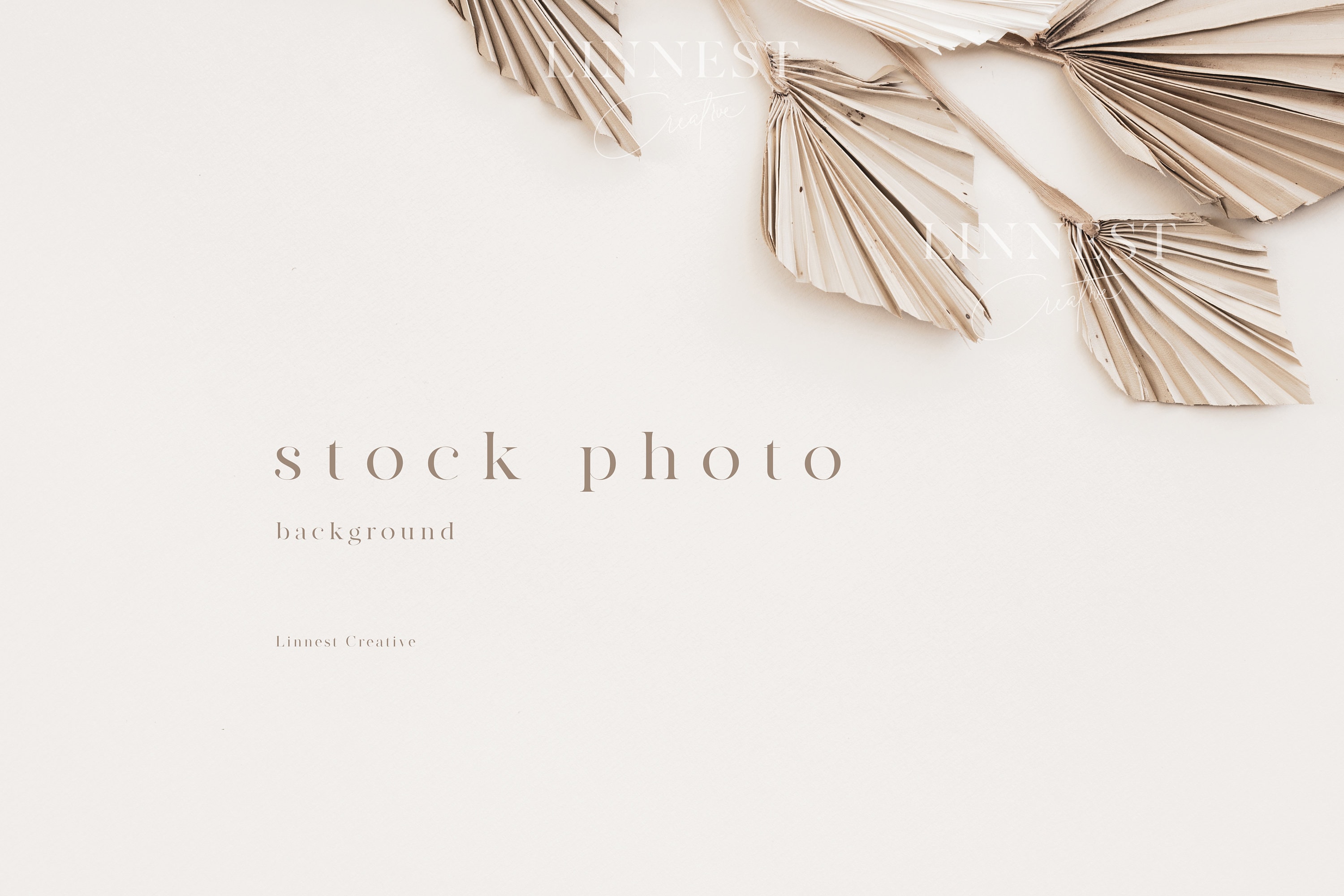 Background Stock Photography Minimal Modern Stock Image - Etsy