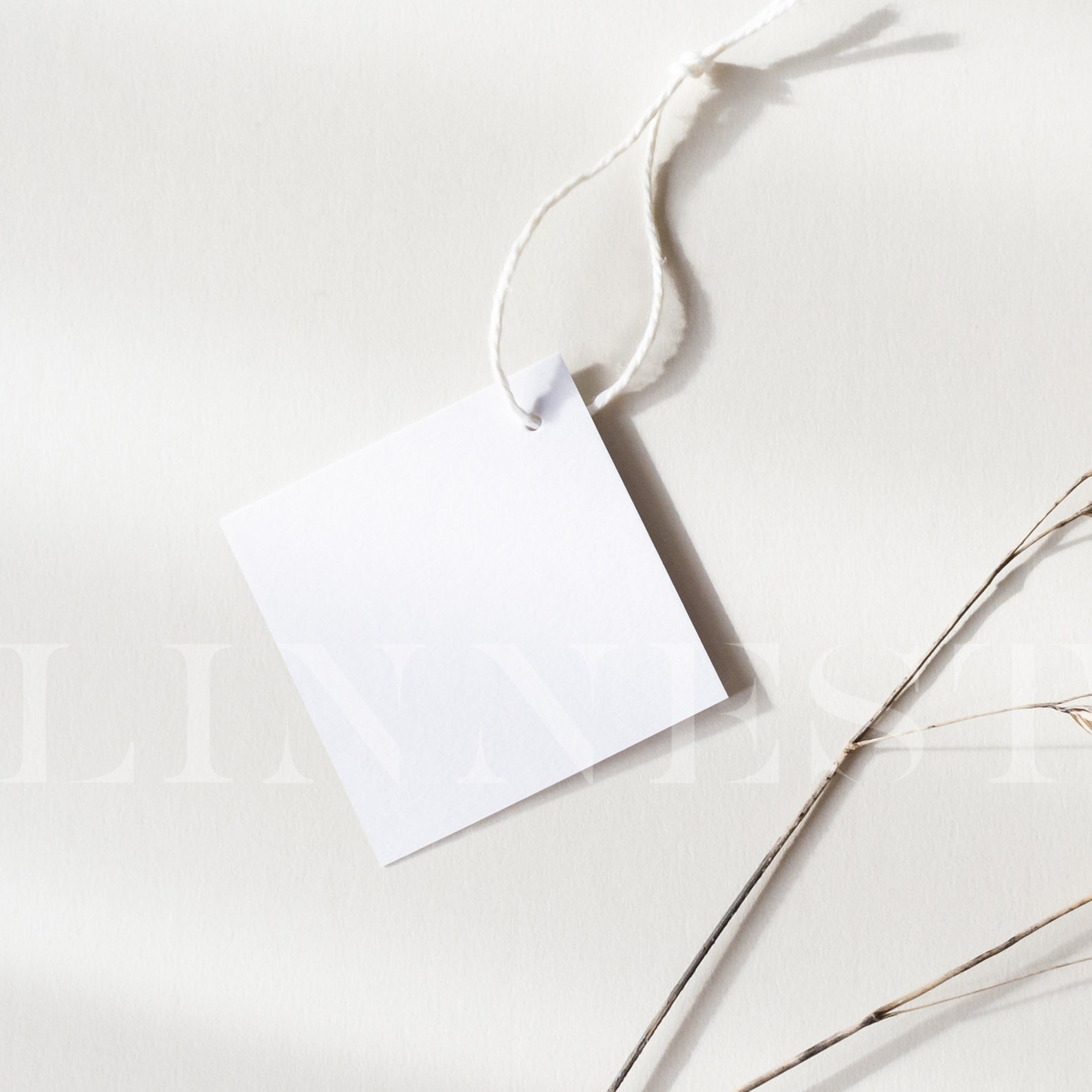 Square gift tag mockup Favor tag mockup Minimalist empty | Etsy