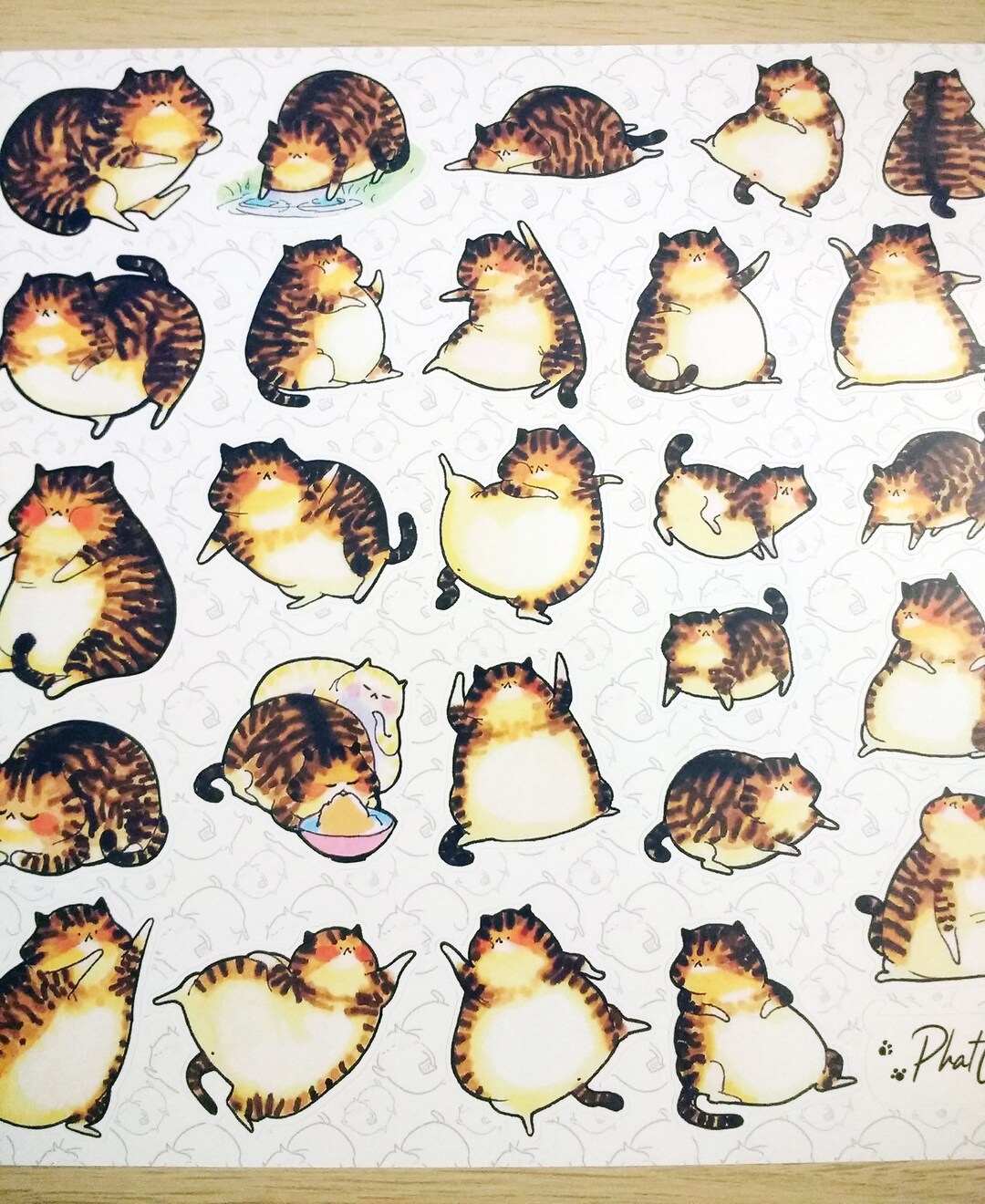 Cute Fat Cat Sticker Pack-leona - Etsy