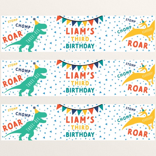 EDITABLE Dinosaur Bottle Label T-rex Dinosaur Water Labels - Etsy
