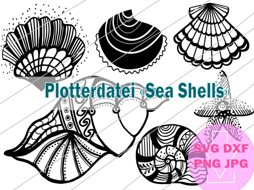 Plotter File Maritime, Shells SVG DXF PNG Download Plotter File ...