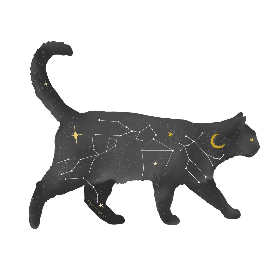 Constellation Celestial Cat Astrology Sticker | Etsy