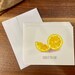 Hand-painted Watercolor Lemon Note Cards With Envelopes Squeeze the Day ...