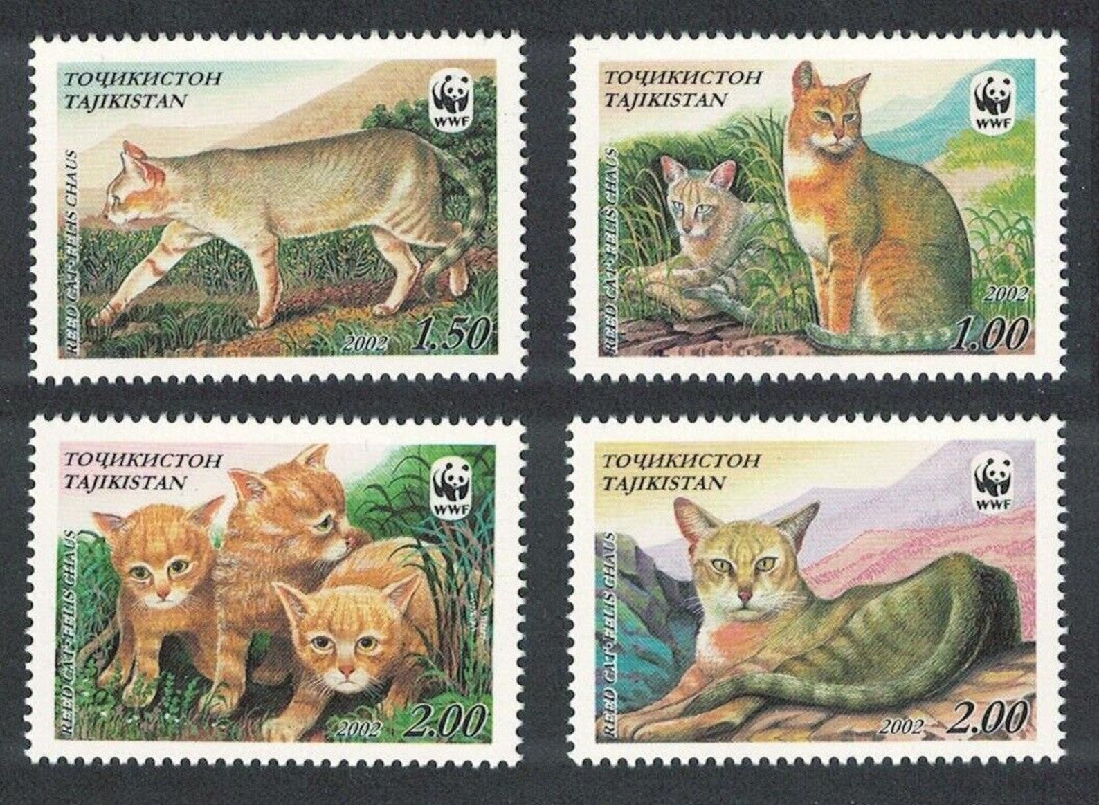 Tajikistan 2002 Endangered Reed Cat Set of 4 MNH With WWF - Etsy