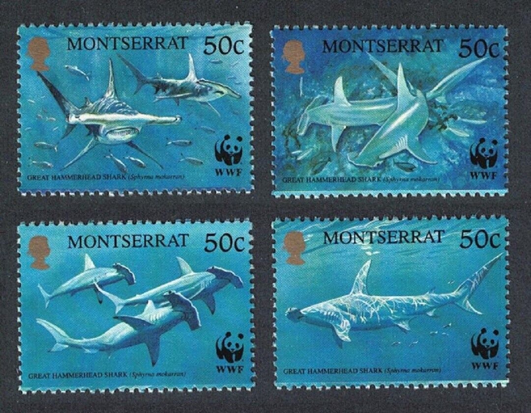 Montserrat 1999 Endangered Hammerhead Shark Set of 4 MNH With - Etsy