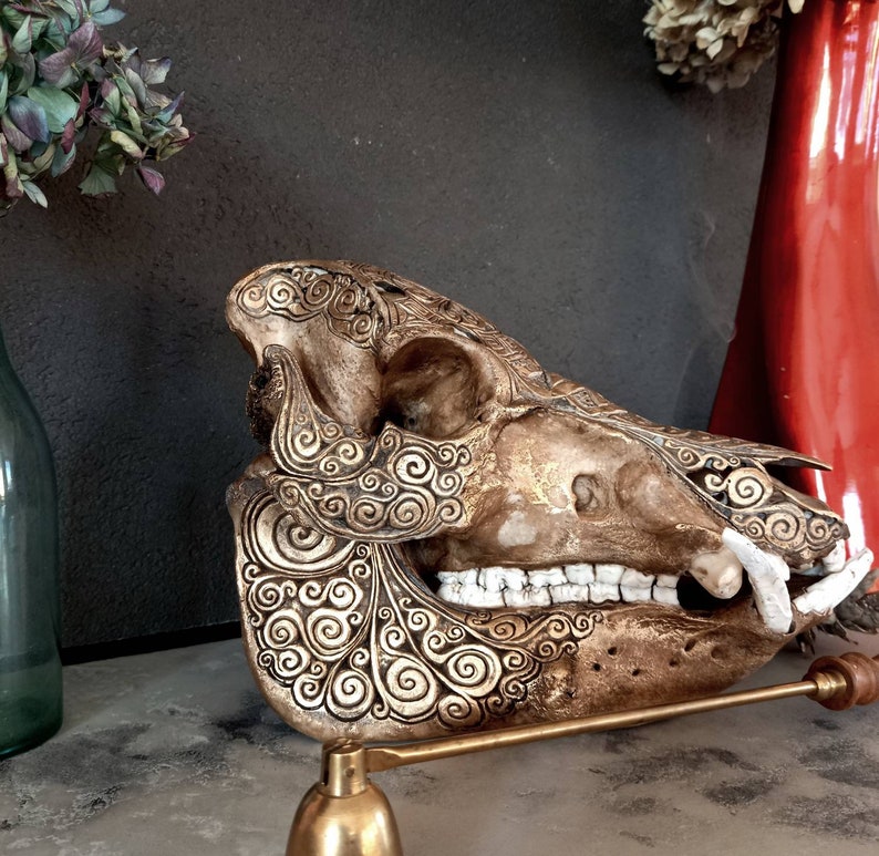 Hand-carved Vietnamese Pig Skull With Fangs | Unique Animal Skull Art ...
