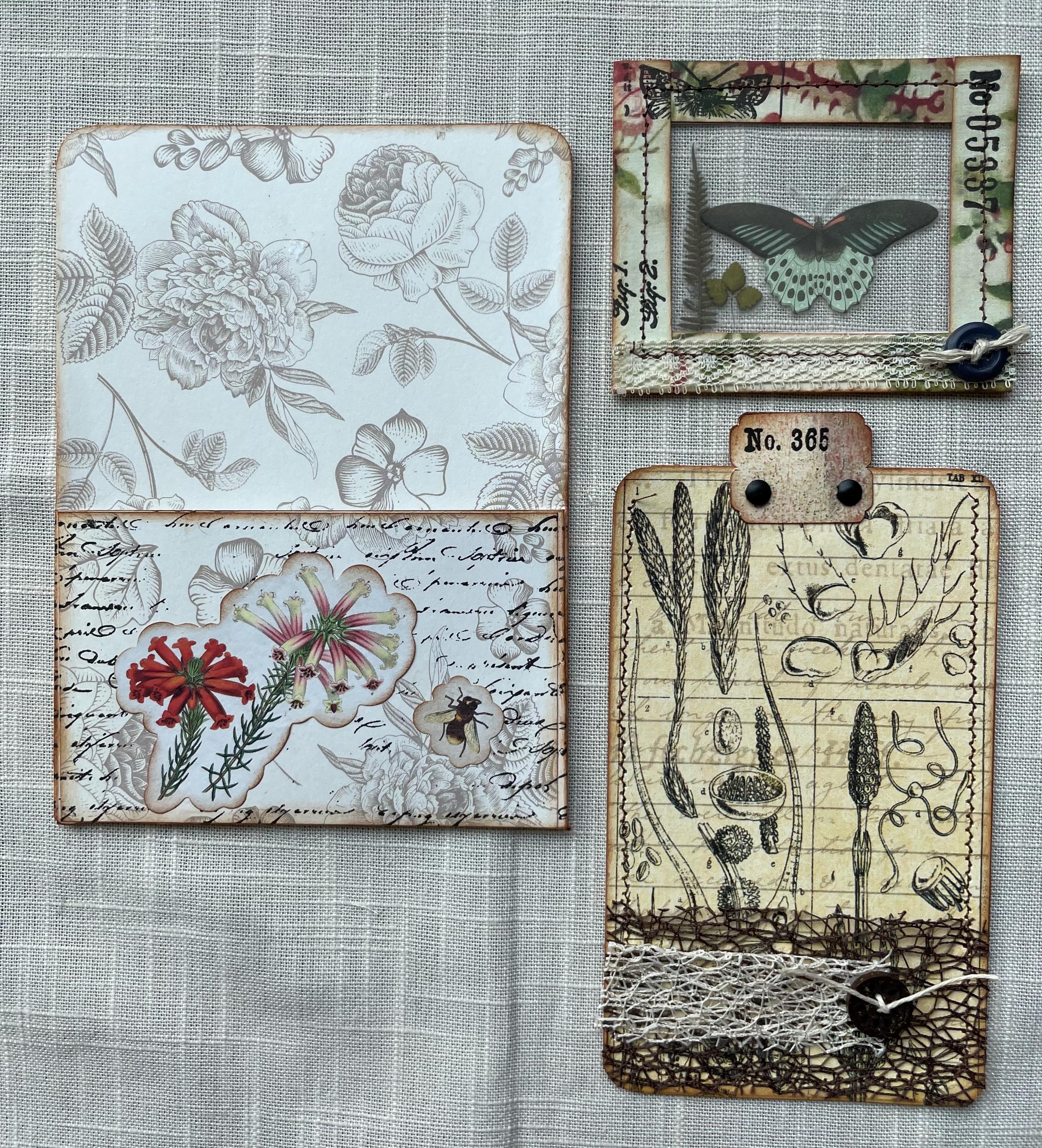 Journal Specimen Card, Journaling Card, and Pocket Ephemera three ...