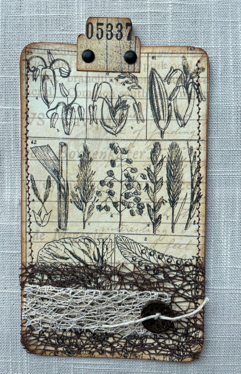 Journal Specimen Card, Journaling Card, and Pocket Ephemera three ...