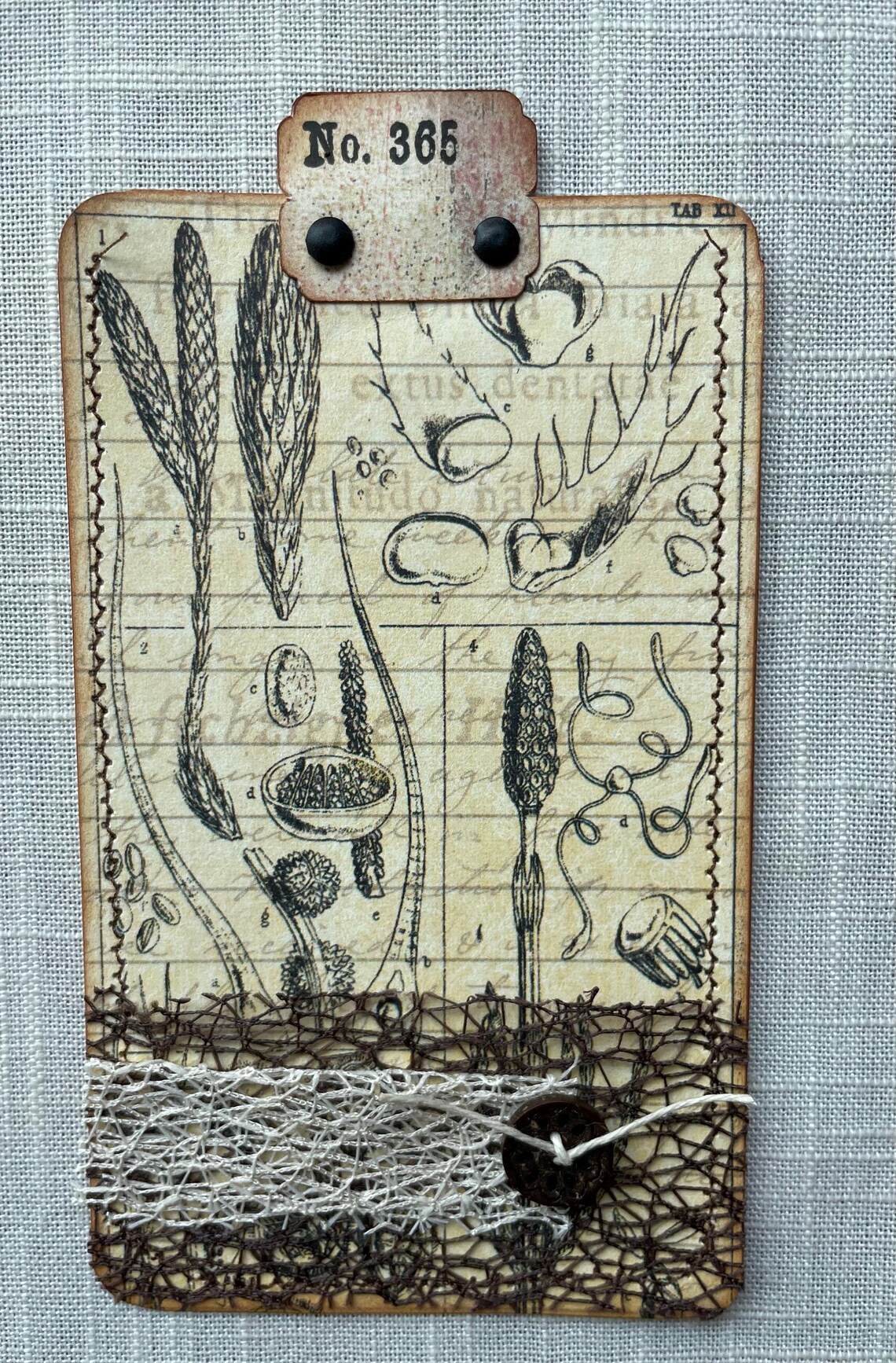 Journal Specimen Card, Journaling Card, and Pocket Ephemera three ...