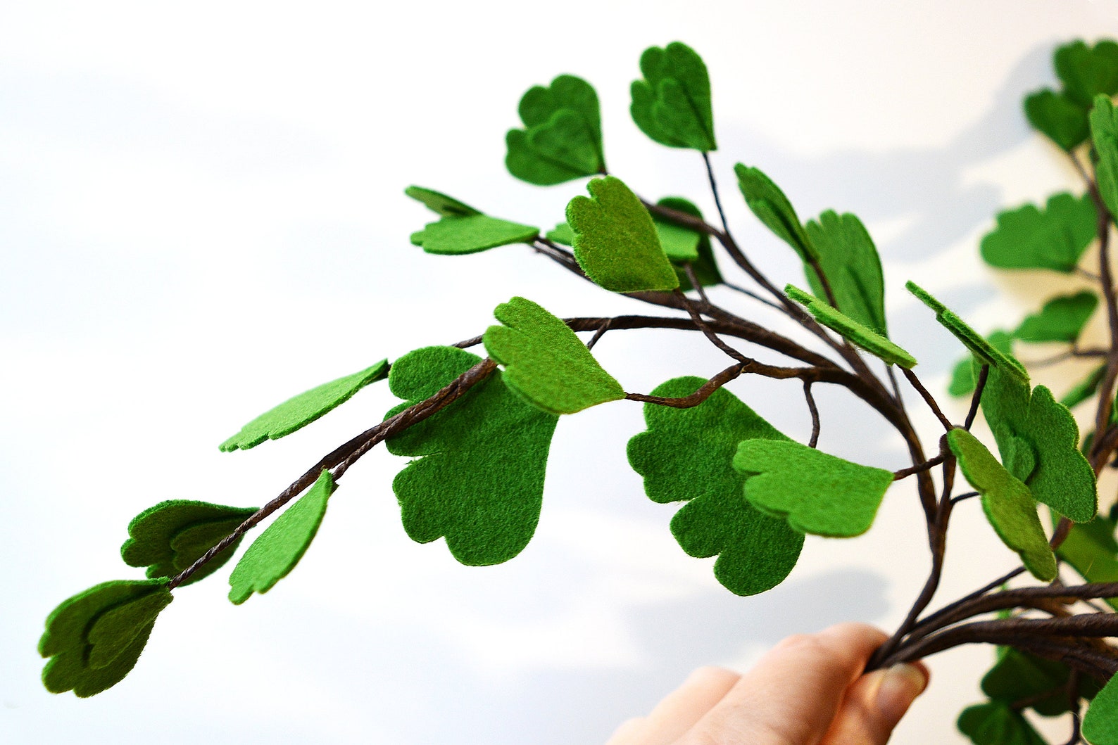 Venus Hair Fern, Adiantum Capillus-veneris Fern, 7 Twigs, Maidenhair ...