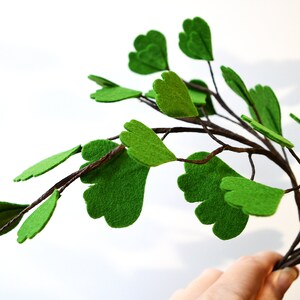 Venus Hair Fern, Adiantum Capillus-veneris Fern, 7 Twigs, Maidenhair ...