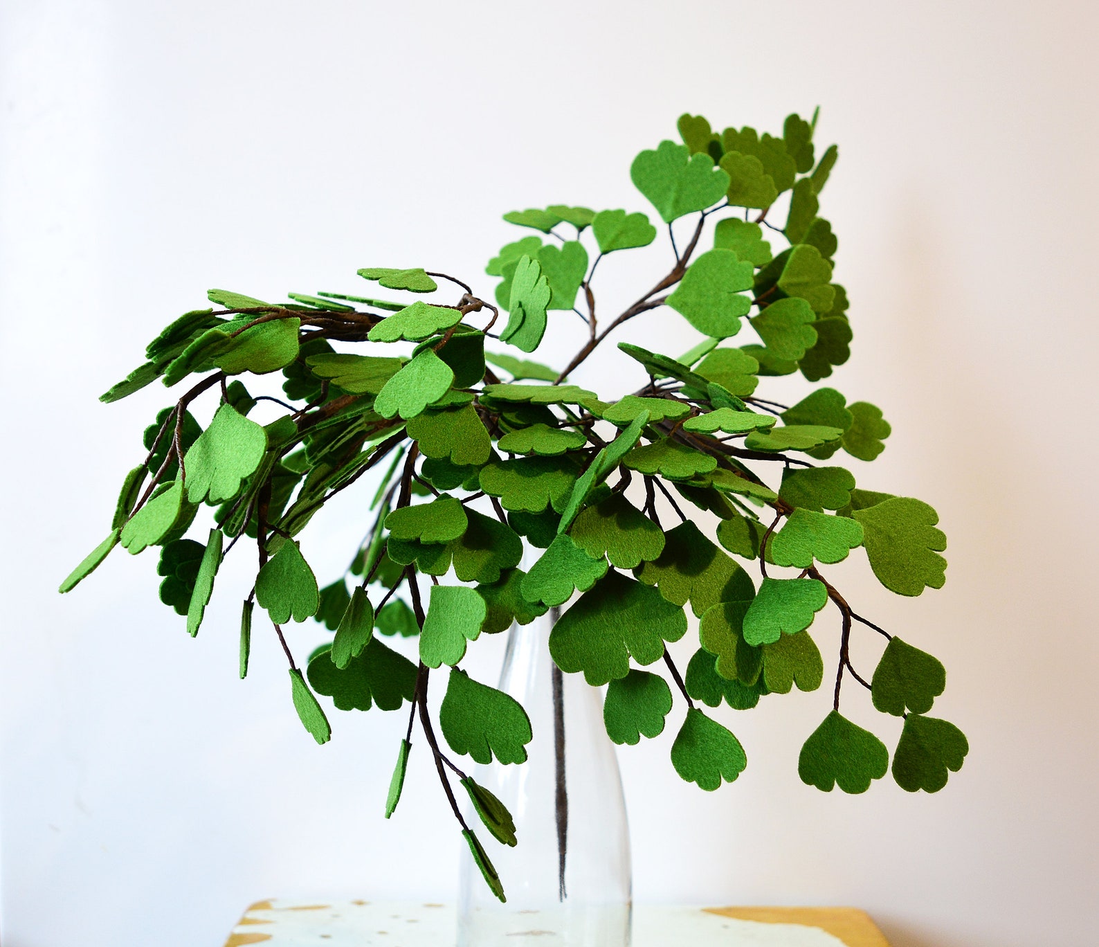 Venus Hair Fern, Adiantum Capillus-veneris Fern, 7 Twigs, Maidenhair ...