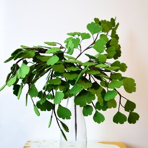 Venus Hair Fern, Adiantum Capillus-veneris Fern, 7 Twigs, Maidenhair ...