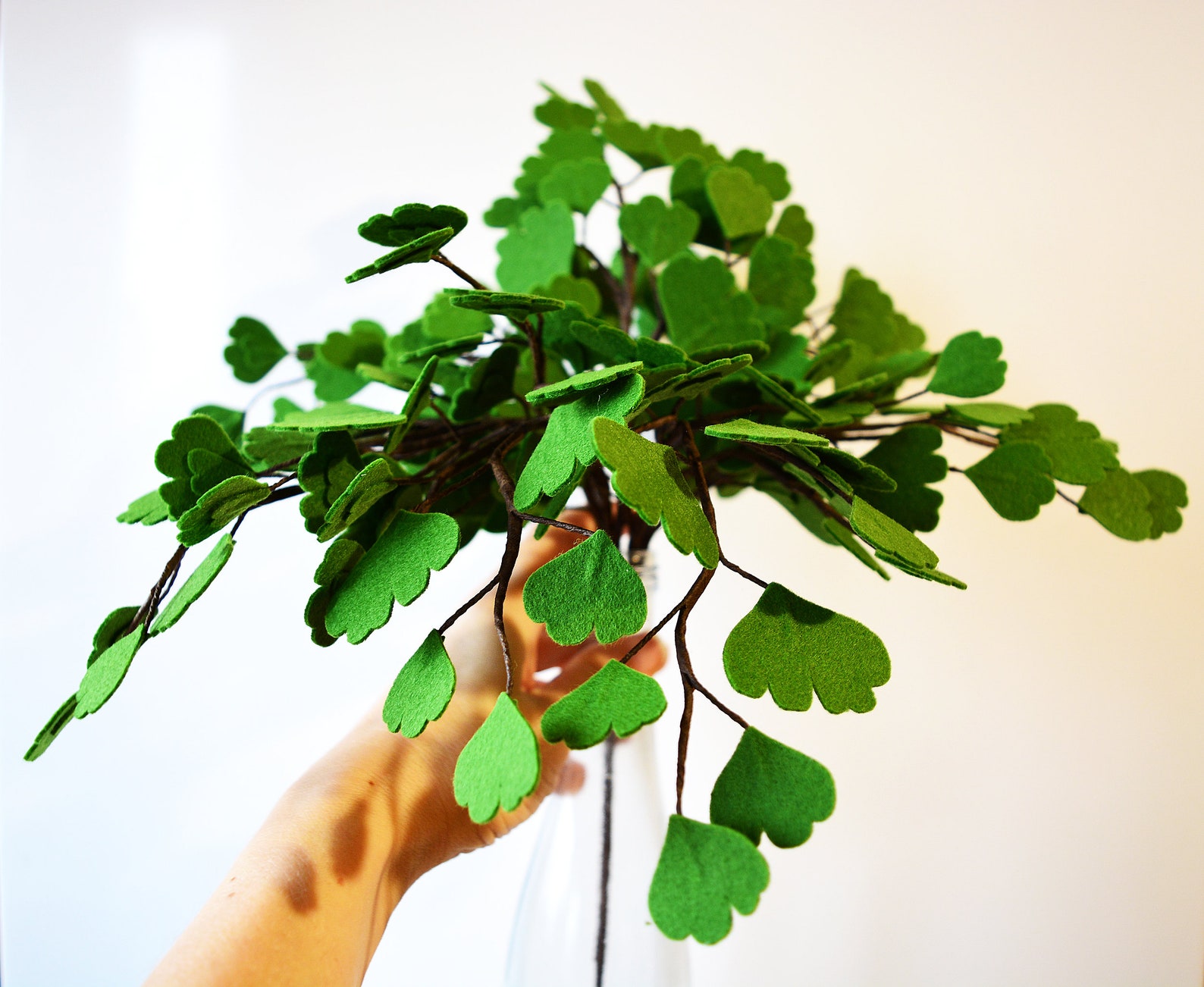 Venus Hair Fern, Adiantum Capillus-veneris Fern, 7 Twigs, Maidenhair ...
