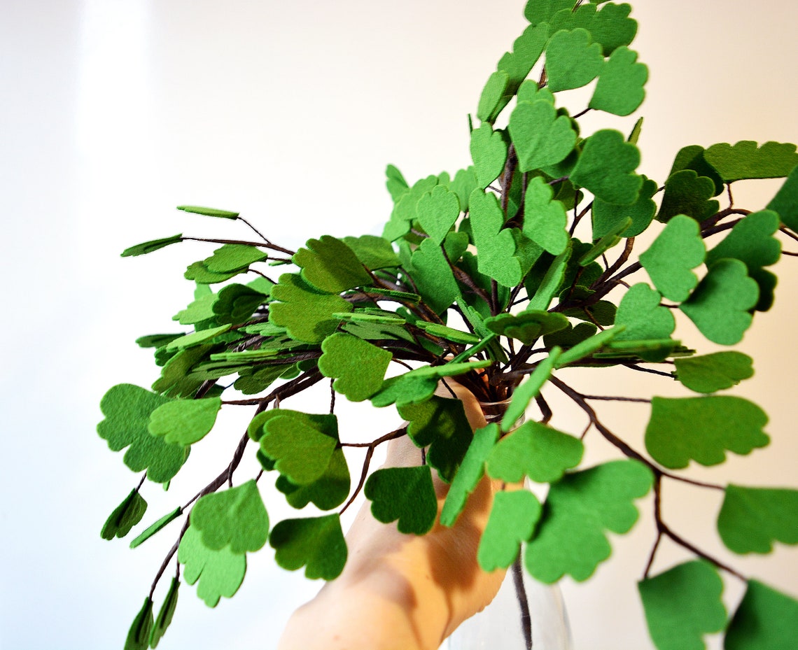 Venus Hair Fern, Adiantum Capillus-veneris Fern, 7 Twigs, Maidenhair ...