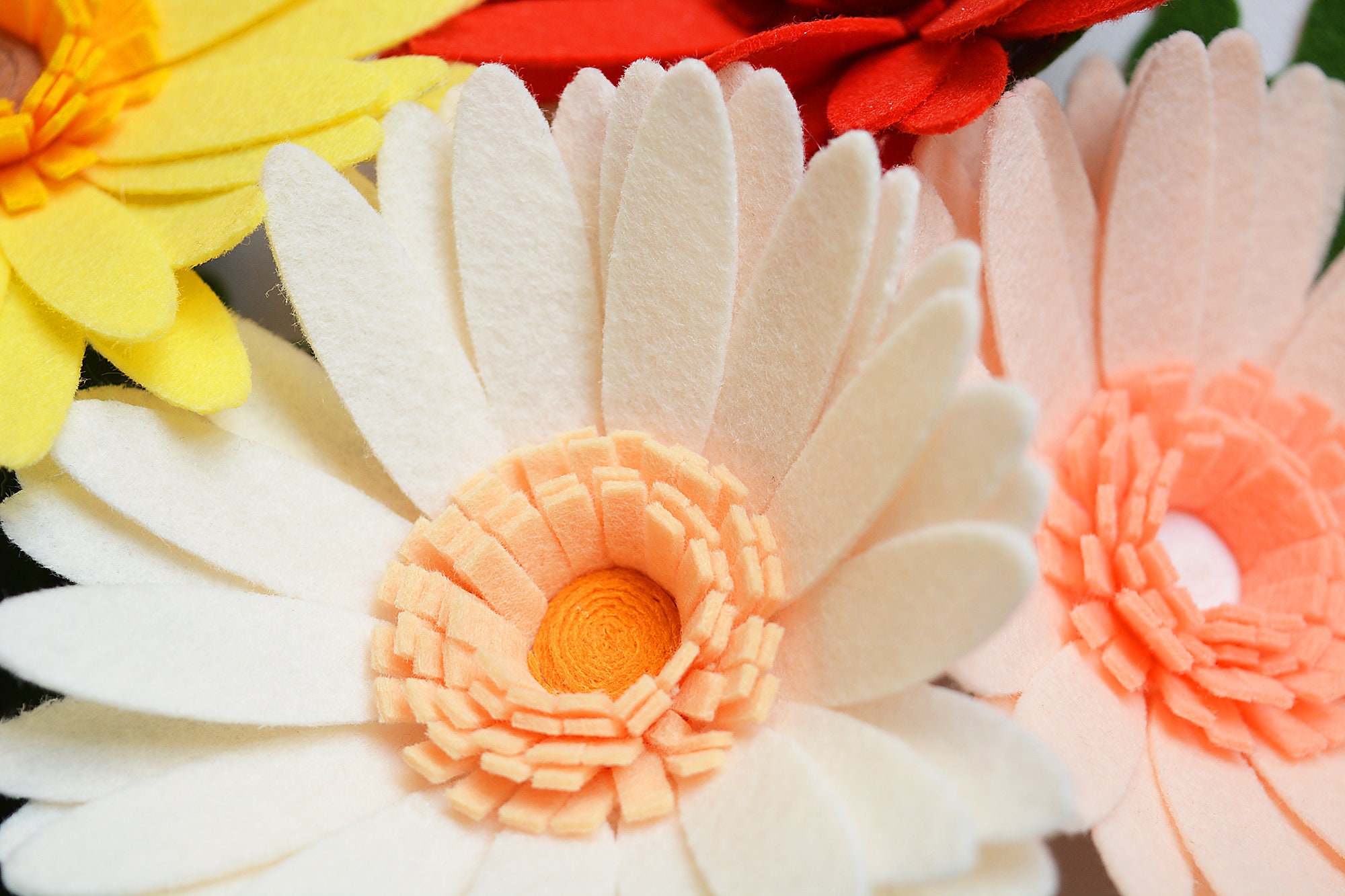 Set of 5 Large Gerberas Choose Color Felt Flower Packs | Etsy