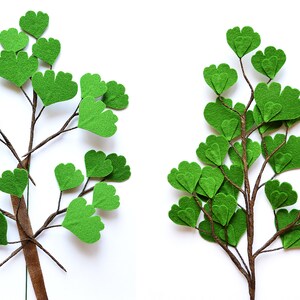 Venus Hair Fern, Adiantum Capillus-veneris Fern, 7 Twigs, Maidenhair ...