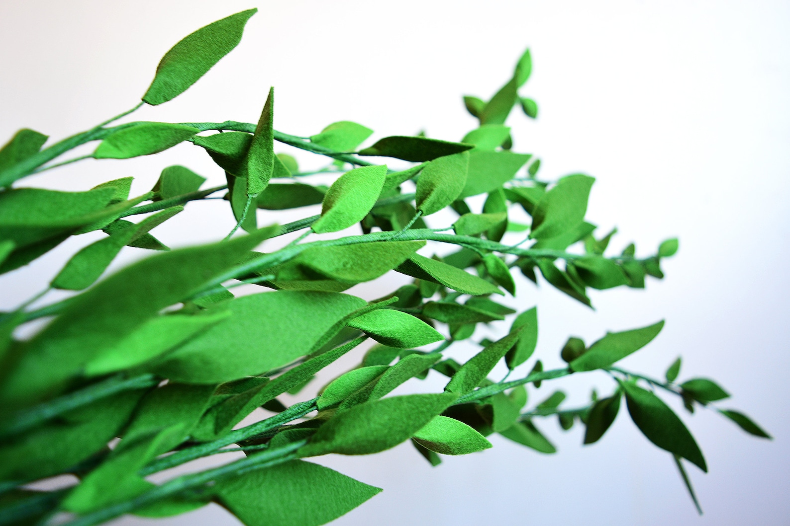 Willow, 80 Cm, Osier, Salix, Sallow, Greenery Bouquet, Spring Leaves, 9 ...