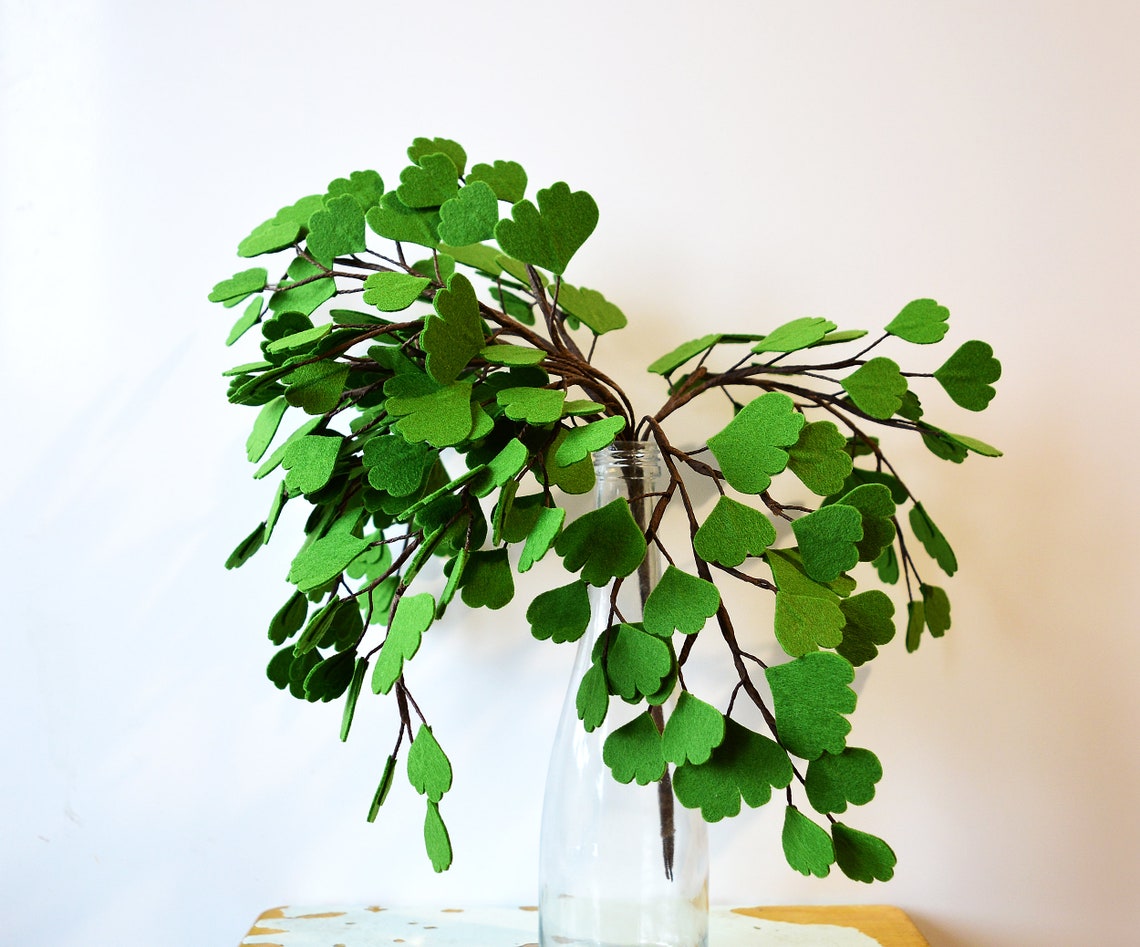 Venus Hair Fern, Adiantum Capillus-veneris Fern, 7 Twigs, Maidenhair ...