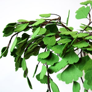 Venus Hair Fern, Adiantum Capillus-veneris Fern, 7 Twigs, Maidenhair ...