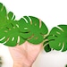Monstera Garland Tropical Greenery Liana Felt Garland - Etsy