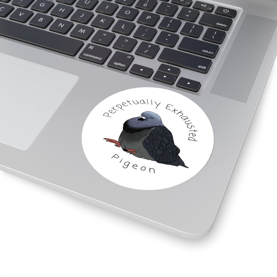Permanently Exhausted Pigeon Sticker - Etsy